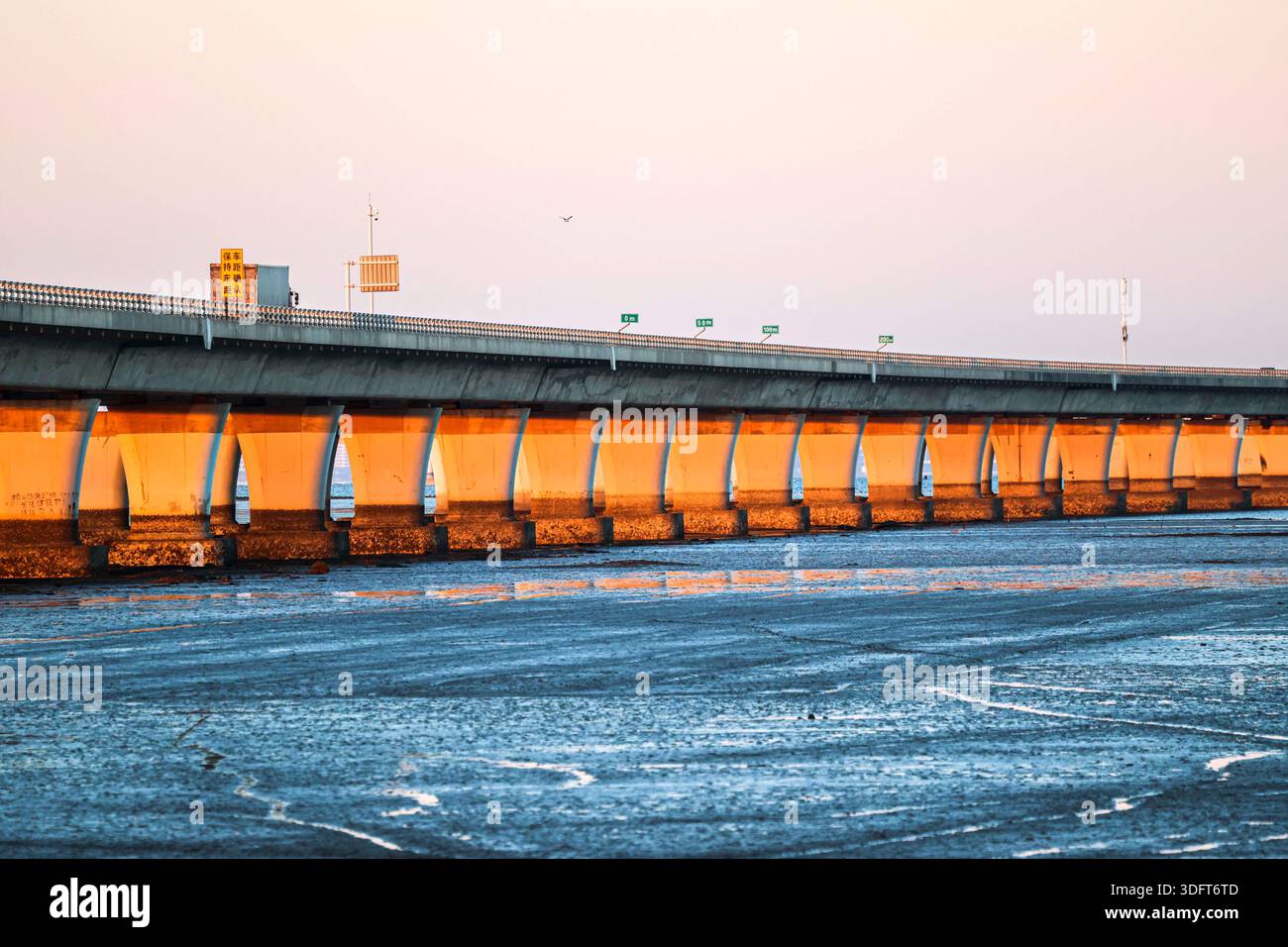 Golden light pierces through Jiaozhou Bay Bridge in West Coast New Area ...