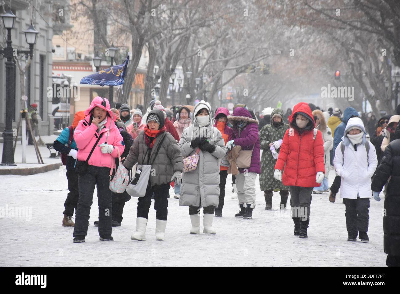 Tourists admire snow scenery in Harbin City, northeast China's ...