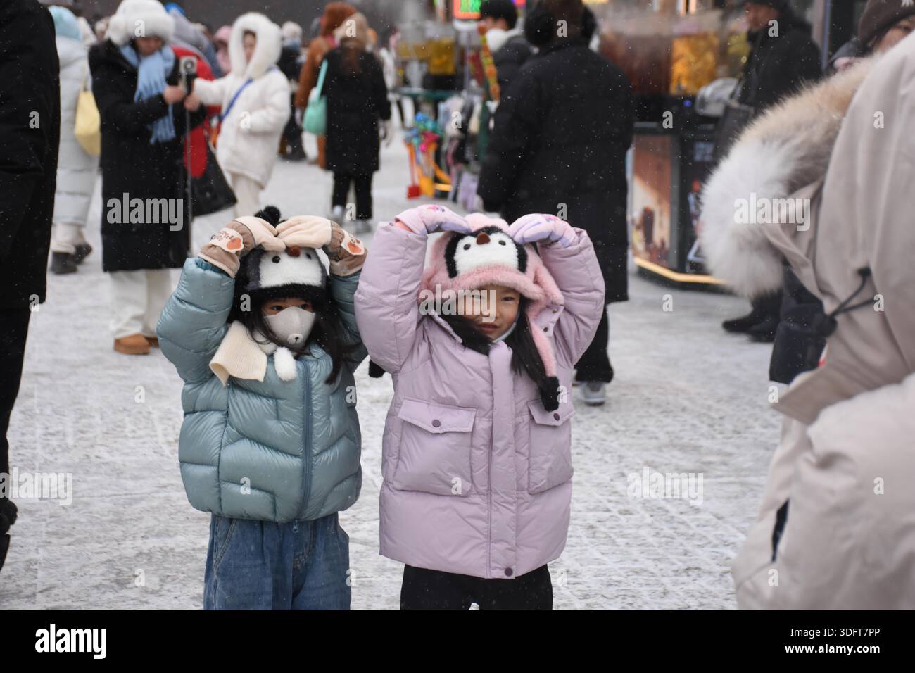 Tourists admire snow scenery in Harbin City, northeast China's ...