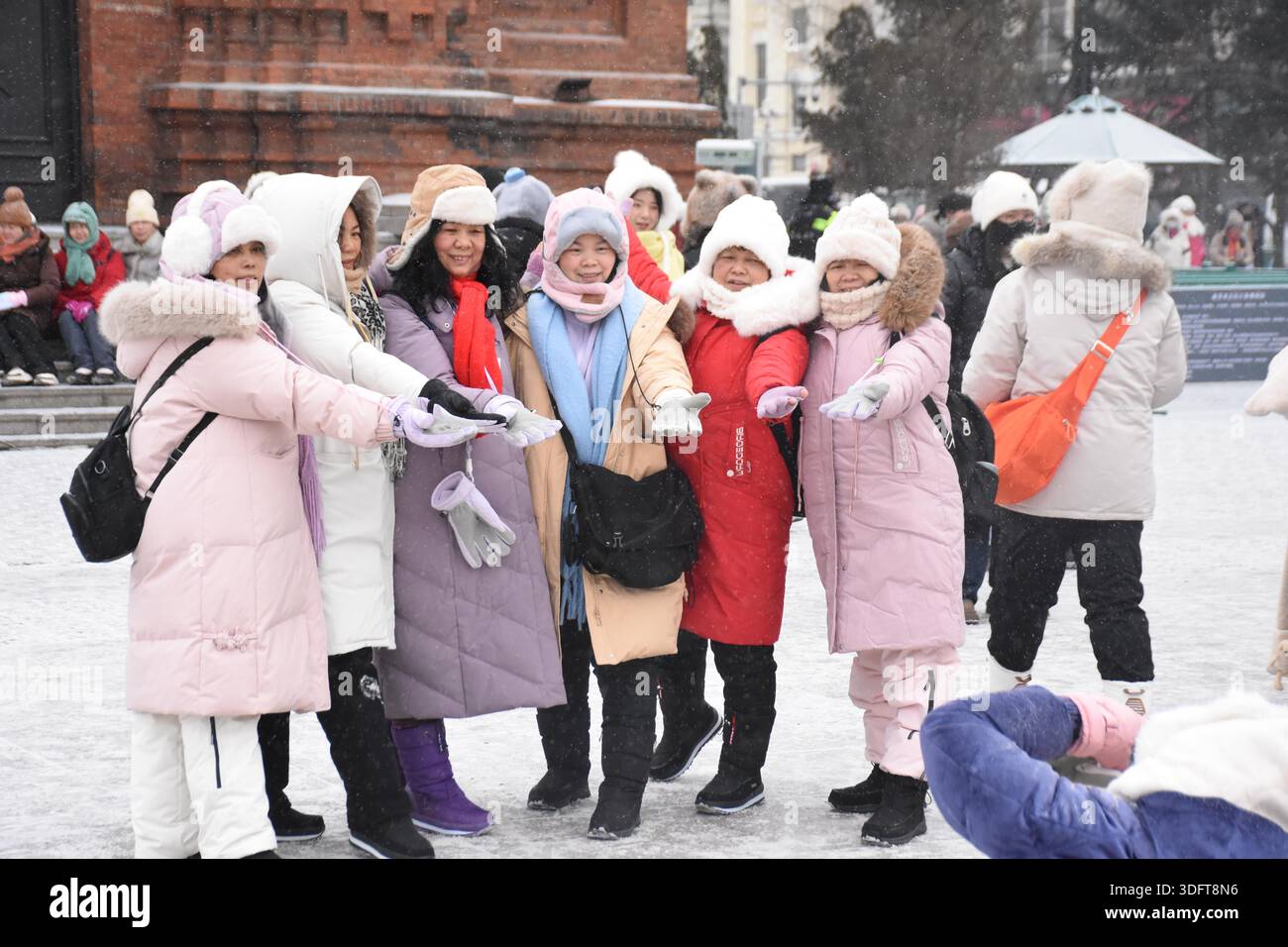 Tourists admire snow scenery in Harbin City, northeast China's ...