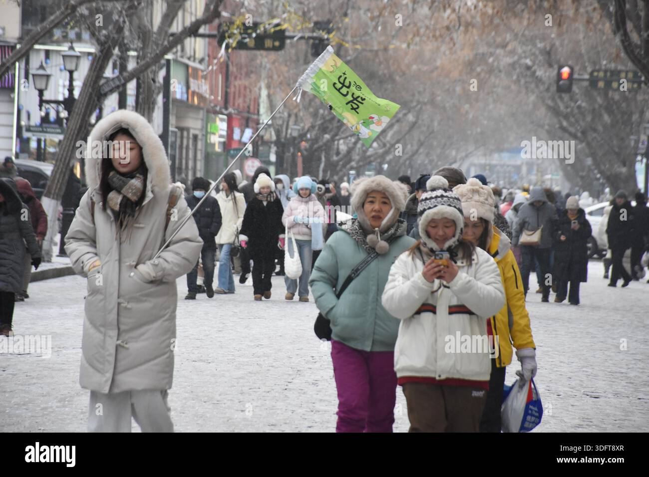 Tourists admire snow scenery in Harbin City, northeast China's ...