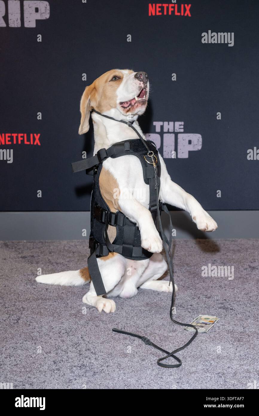 Wilbur attends Netflix's "The Rip" New York Premiere at Alice Tully ...