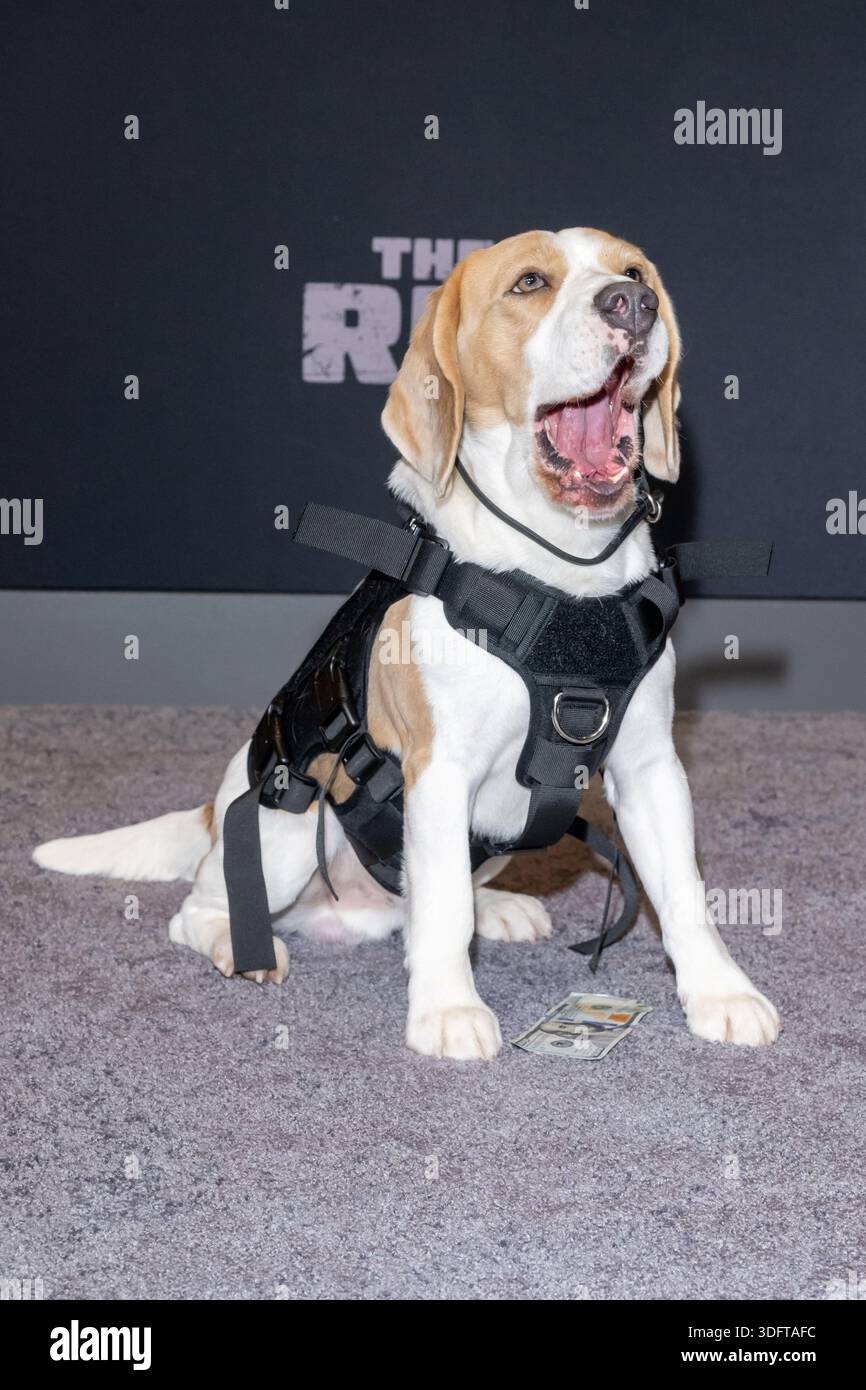 Wilbur attends Netflix's "The Rip" New York Premiere at Alice Tully ...