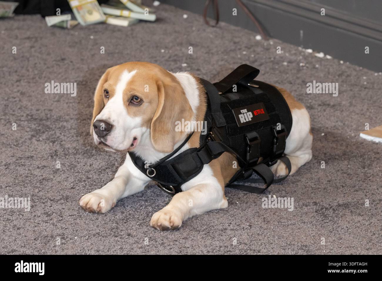 Wilbur attends Netflix's "The Rip" New York Premiere at Alice Tully ...