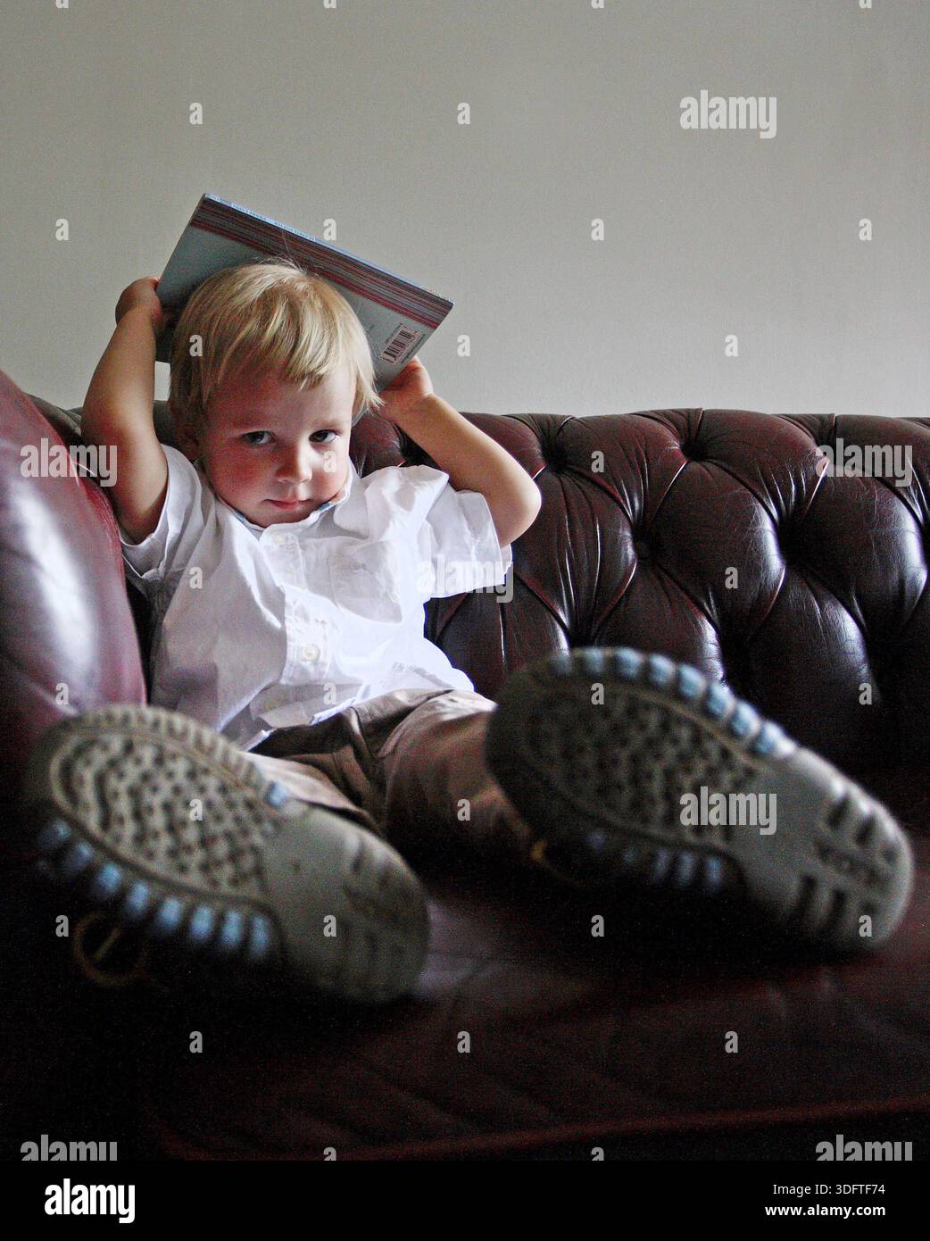 Kind DEU, Deutschland, 20260101, - Kind mit Buch, DEU, Germany ...