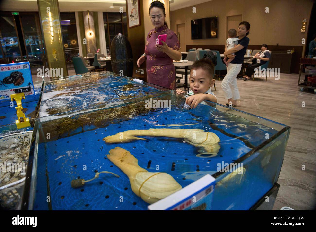 FILE - A child reacts to geoducks from Canada at a restaurant in Sanya ...