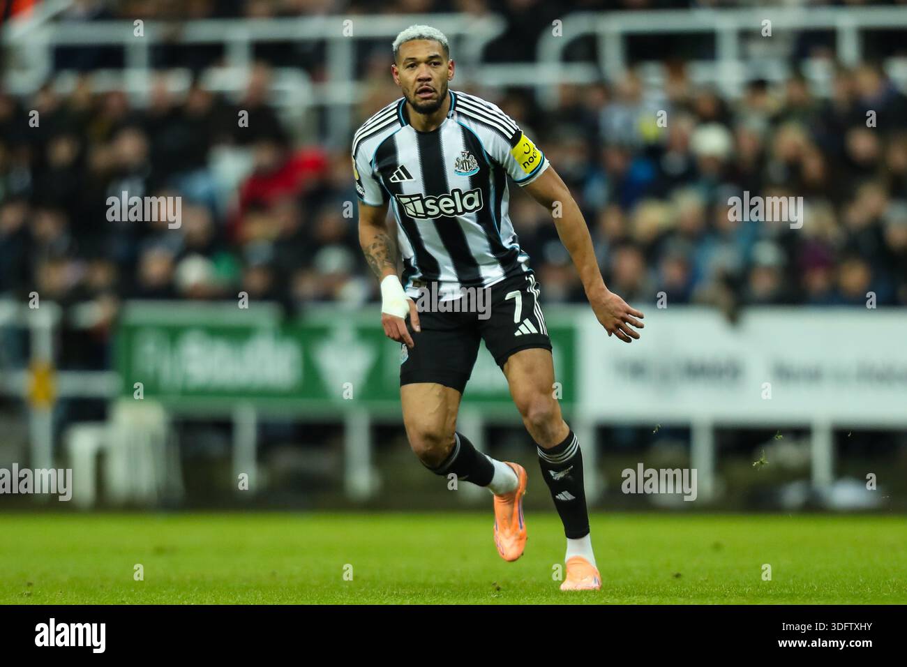 Joelinton Of Newcastle United during the Newcastle United v Manchester ...