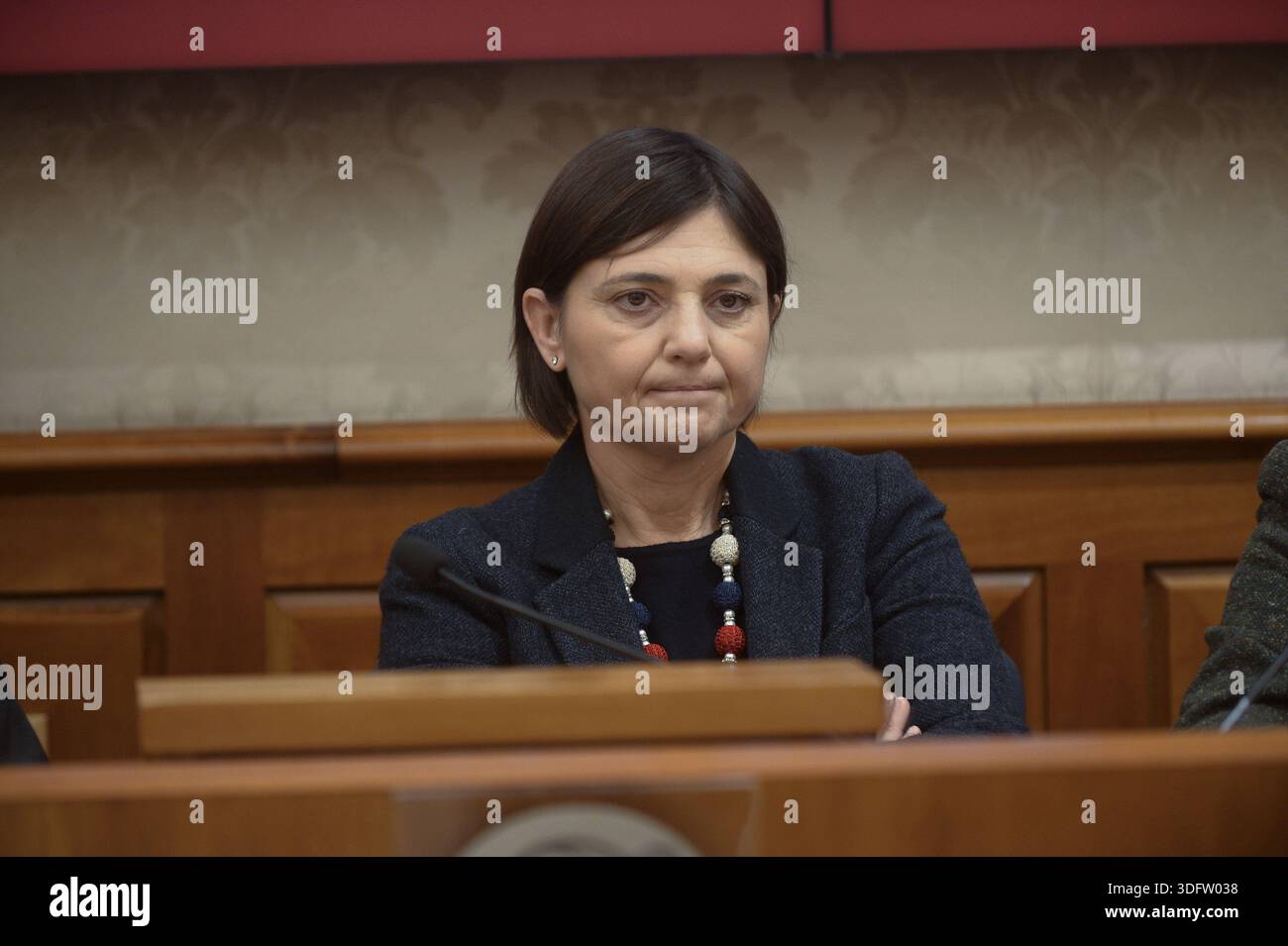 Rome Senate press conference of the Democratic Party: Security in ...