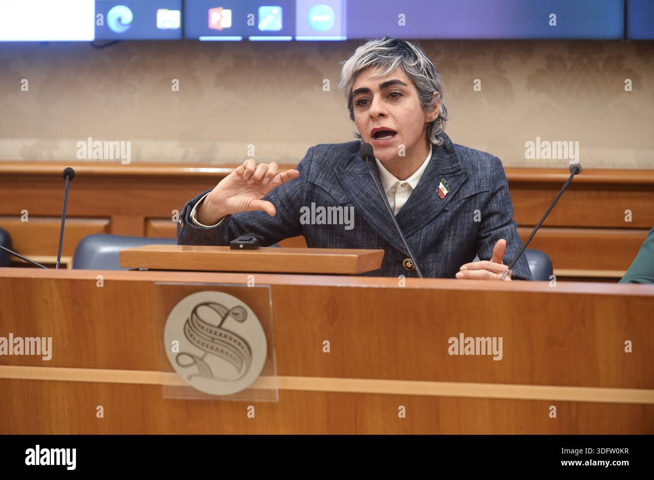 Rome Senate press conference entitled "On the side of the Iranian ...