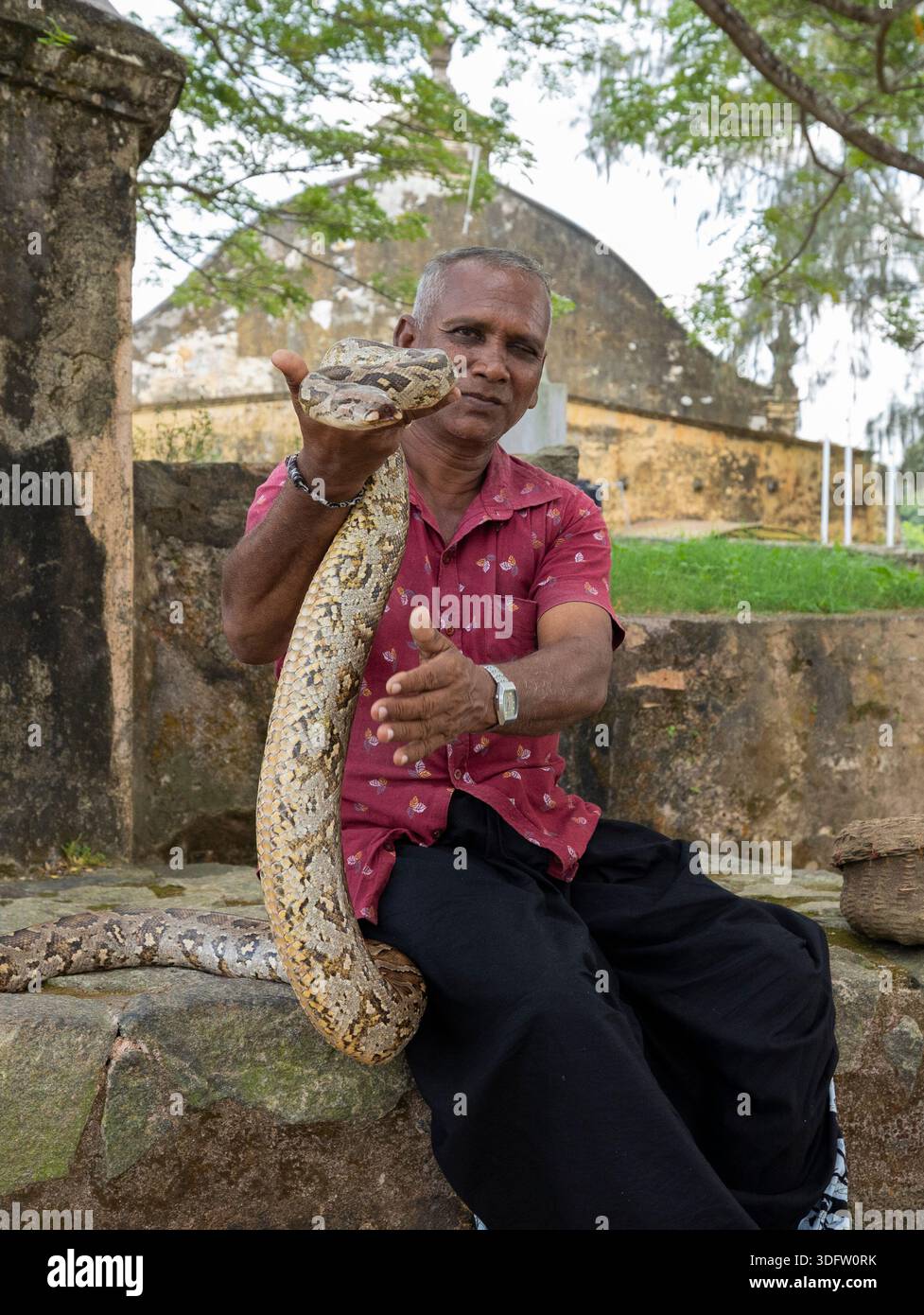Galle, February 14, 2024. Snake charmer with python in the fort area of ...