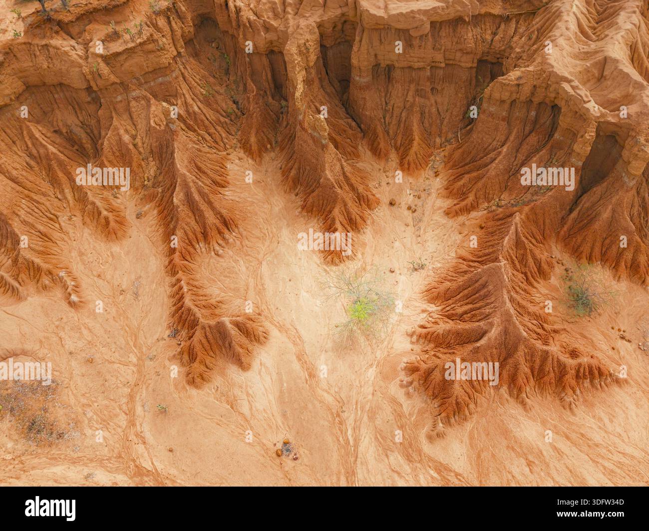 Aerial view of the Tatacoa Desert's arid landscape, revealing the rich ...