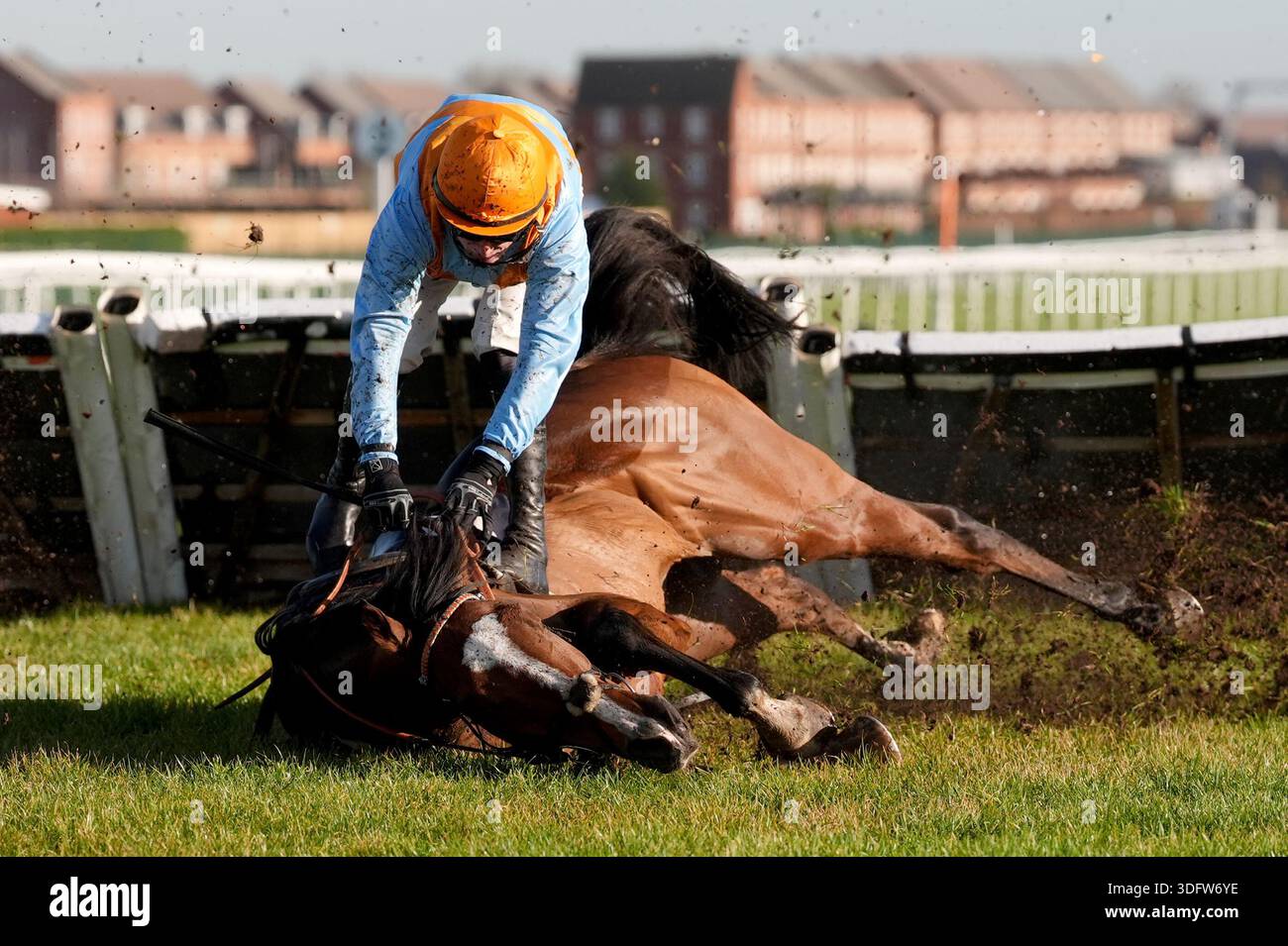 Mescalero ridden by Jack Quinlan fall at the last fence in the BOYLE ...
