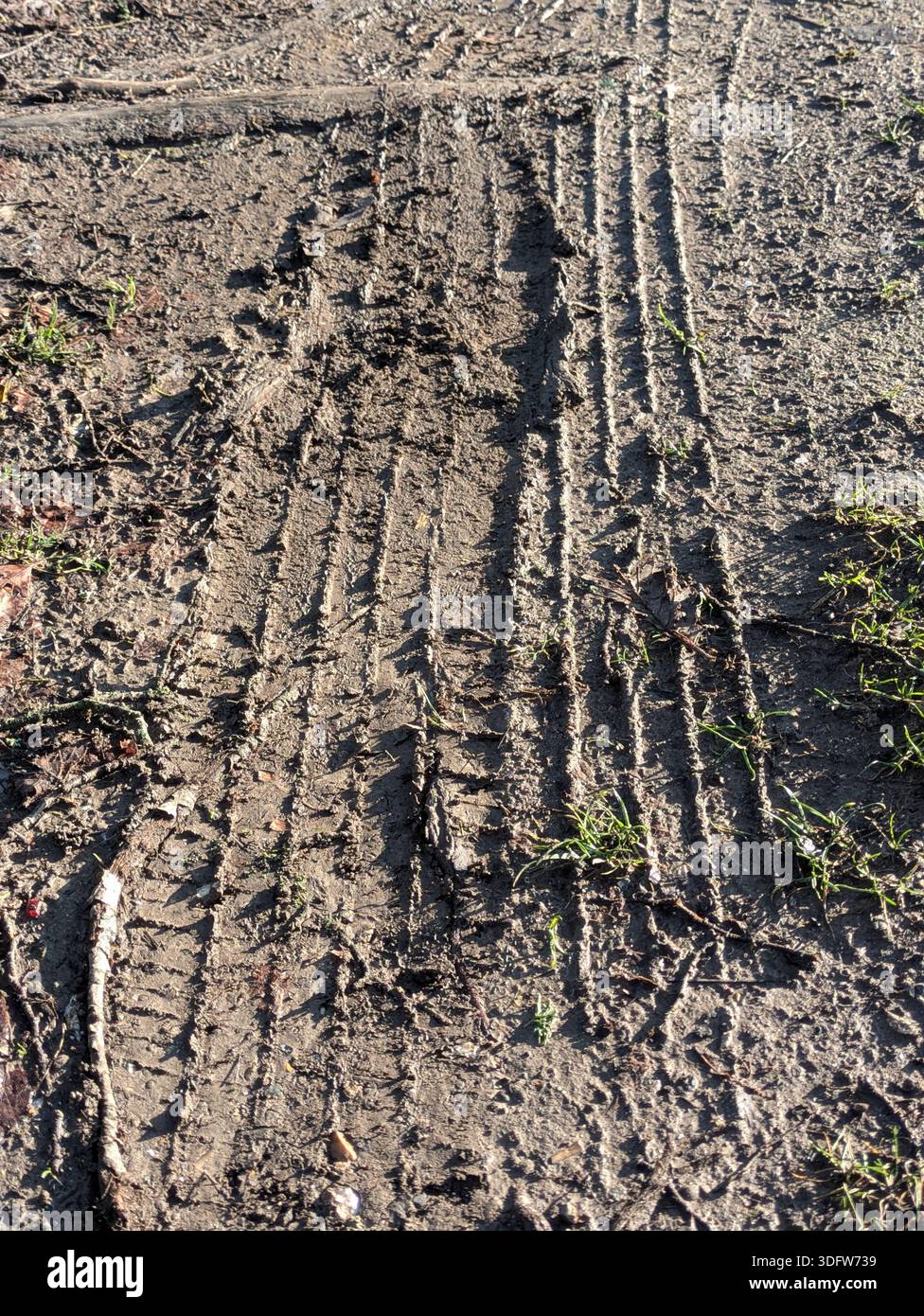 Car tire tracks in deep mud side of road Stock Photo - Alamy