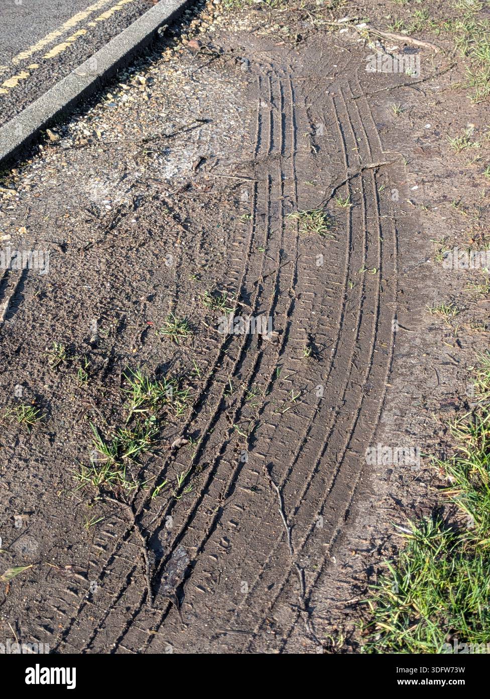 Car tire tracks in deep mud side of road Stock Photo - Alamy