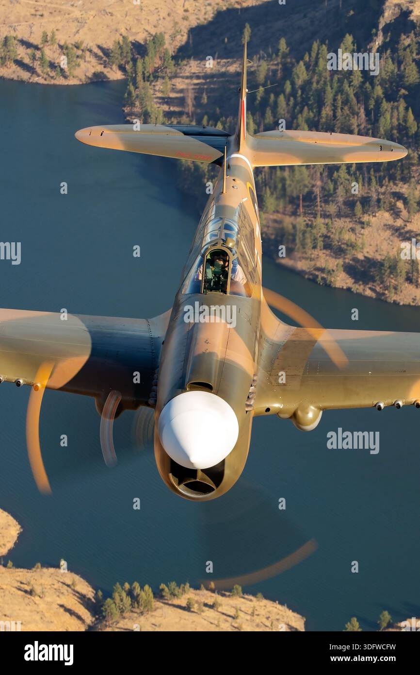 This image presents a Curtiss P-40 Kittyhawk from above while in flight ...