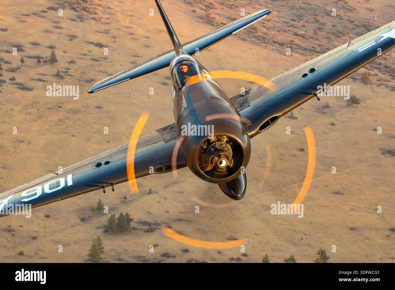 The Grumman F8F Bearcat registration N800H, serial D.1126 and code ...