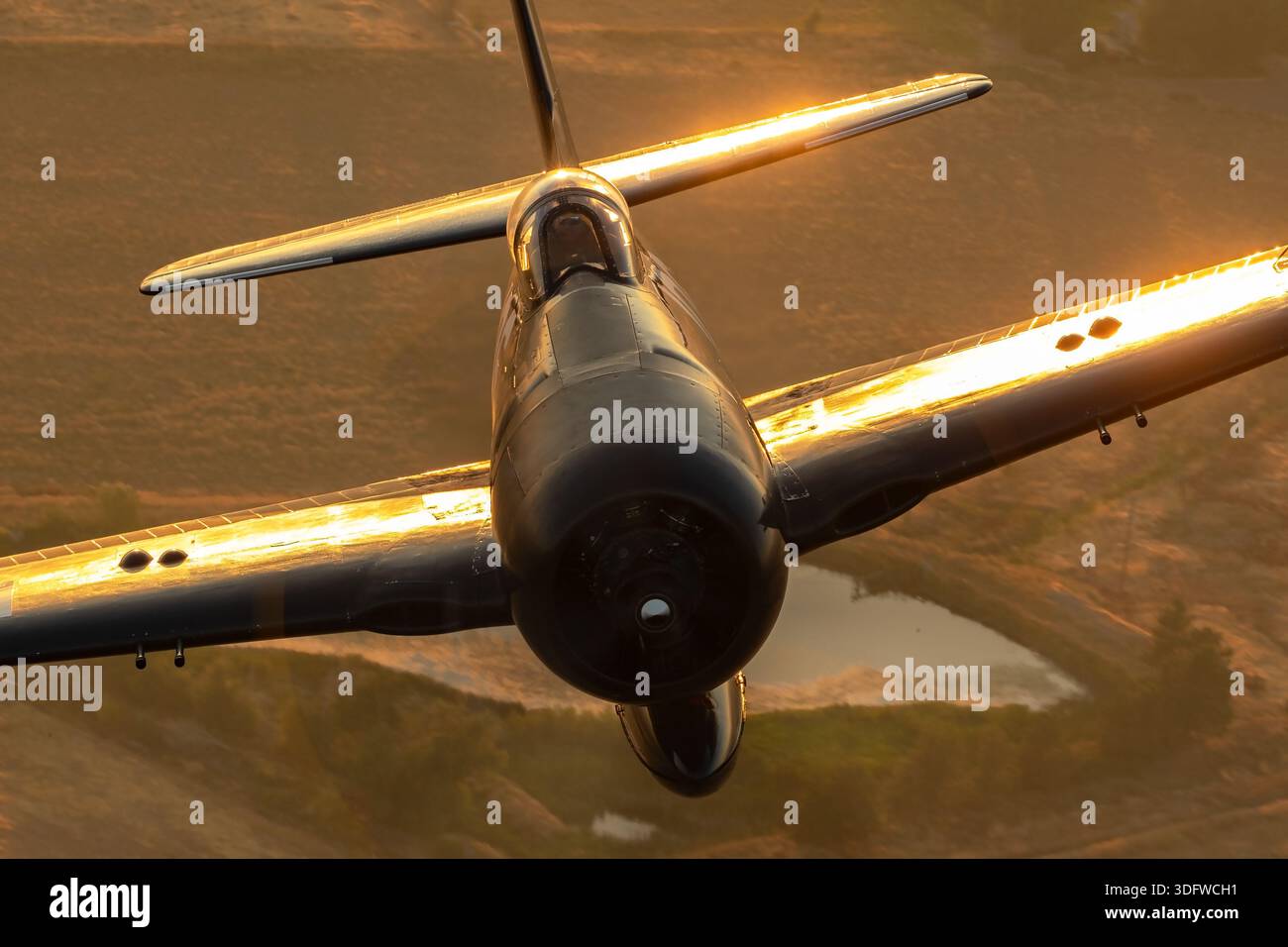 The Grumman F8F Bearcat registration N800H, serial D.1126 and code ...