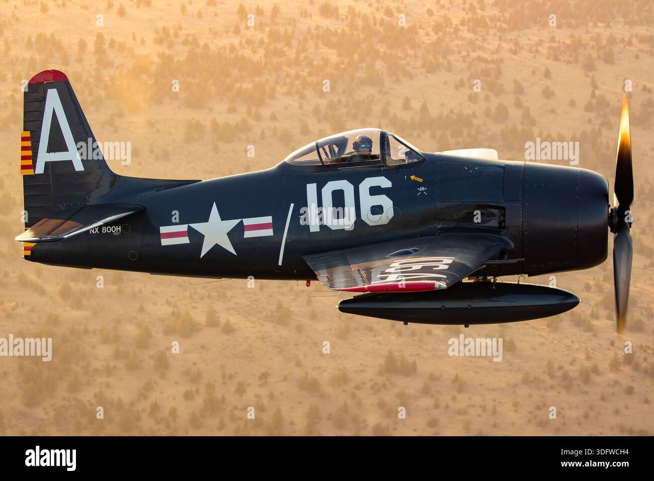 The Grumman F8F Bearcat registration N800H, serial D.1126 and code ...