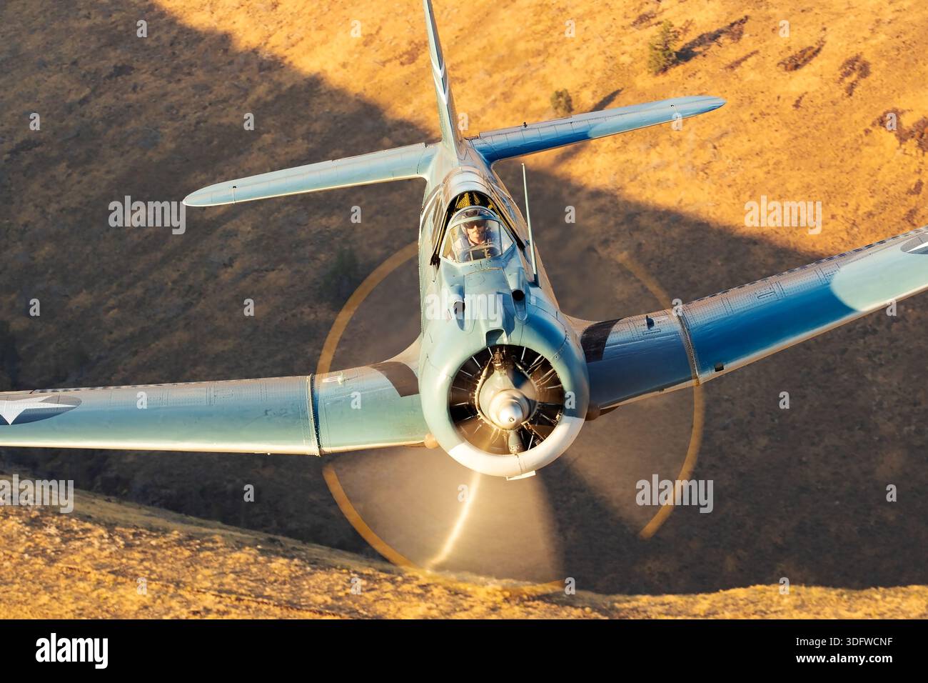 Dauntless cockpit hi-res stock photography and images - Alamy