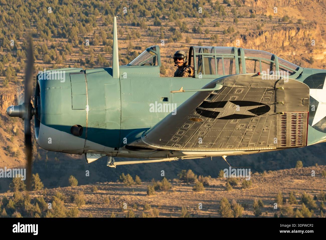 Dauntless cockpit hi-res stock photography and images - Alamy