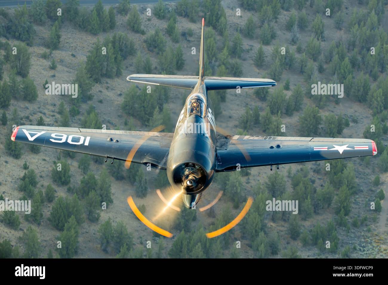 The Grumman F8F Bearcat N800H (construction number D.1126, code NX800H ...