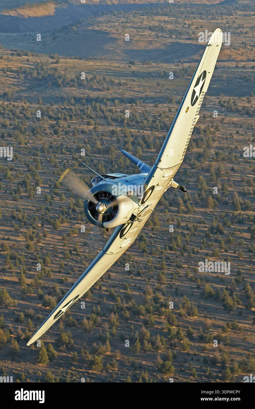 The Douglas SBD Dauntless reg. NX5254L serial 2350 is a U.S. Navy World ...