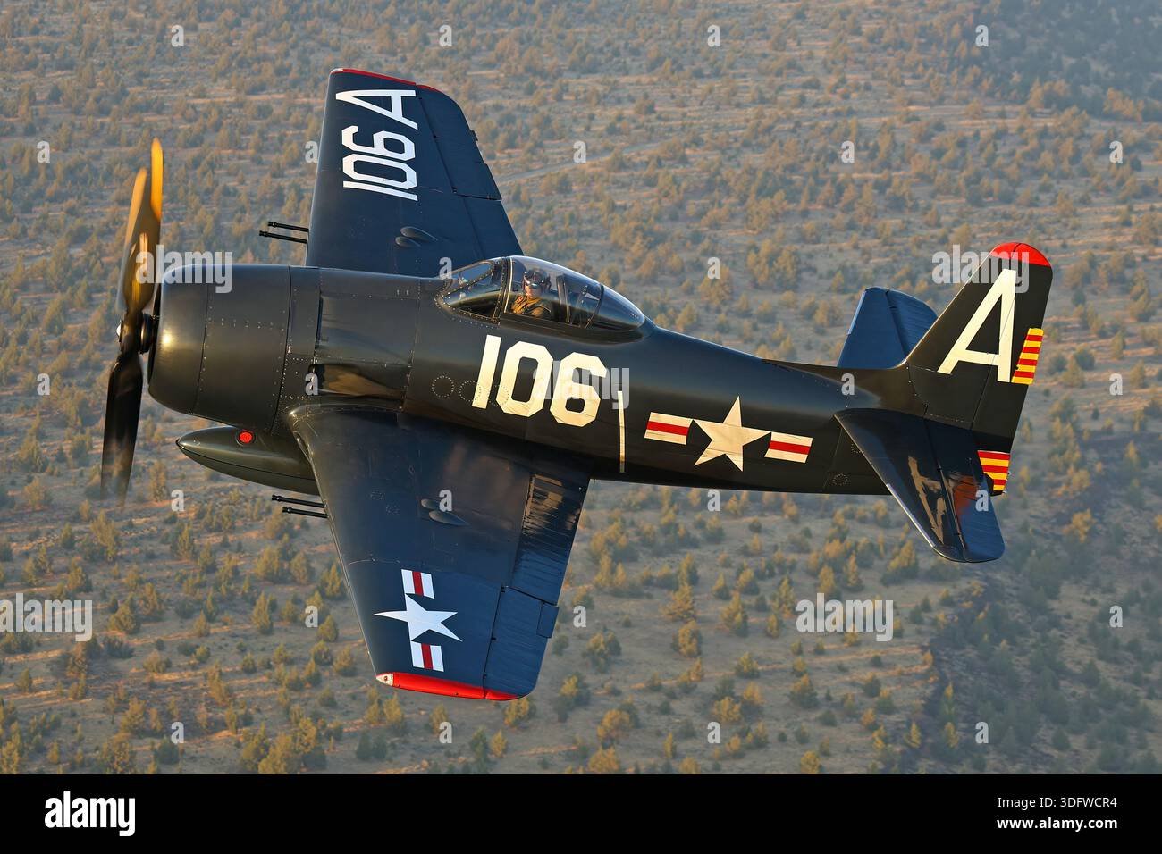 The image shows a Grumman F8F Bearcat warbird in flight, photographed ...