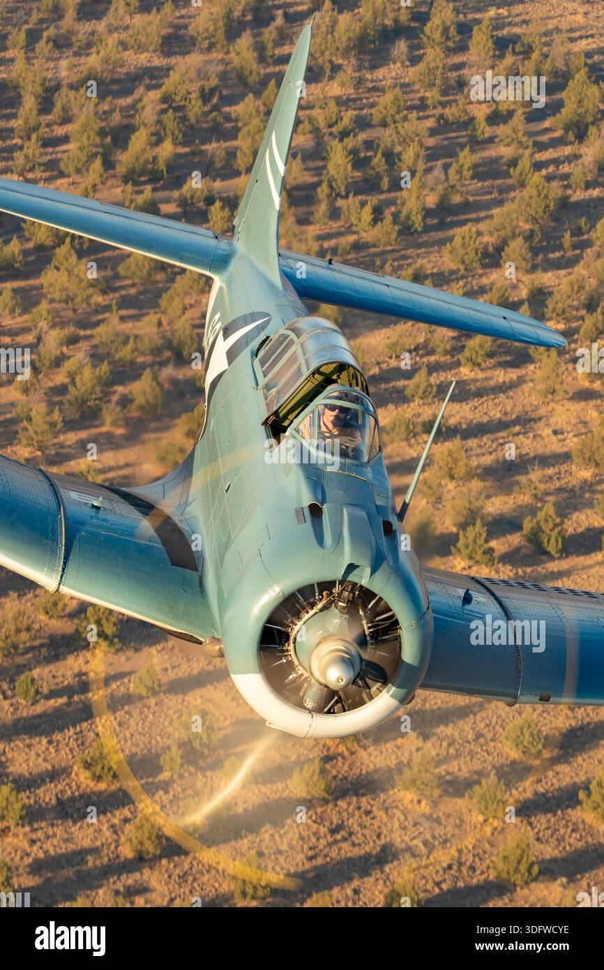 Dauntless cockpit hi-res stock photography and images - Alamy