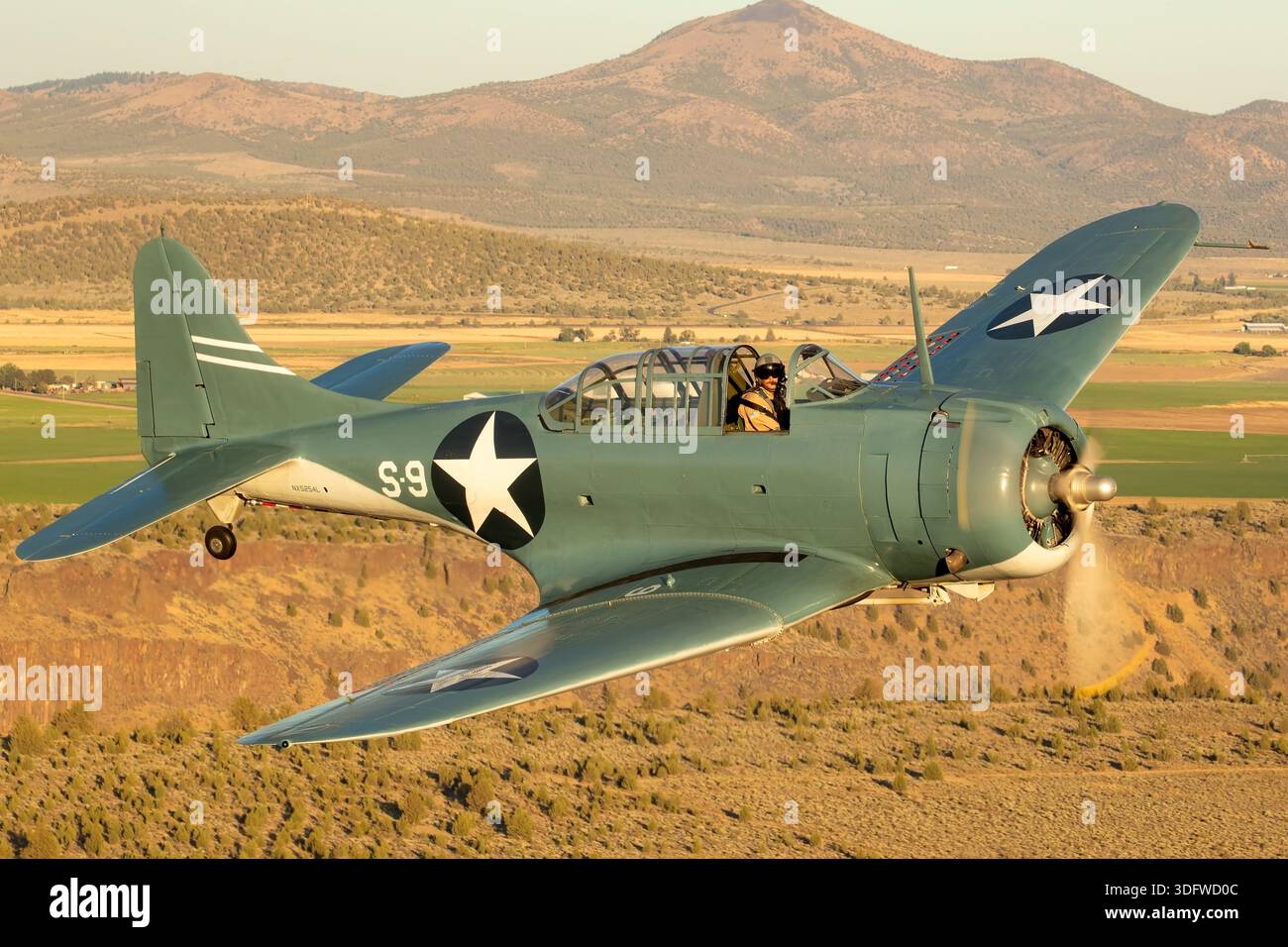 Dauntless cockpit hi-res stock photography and images - Alamy