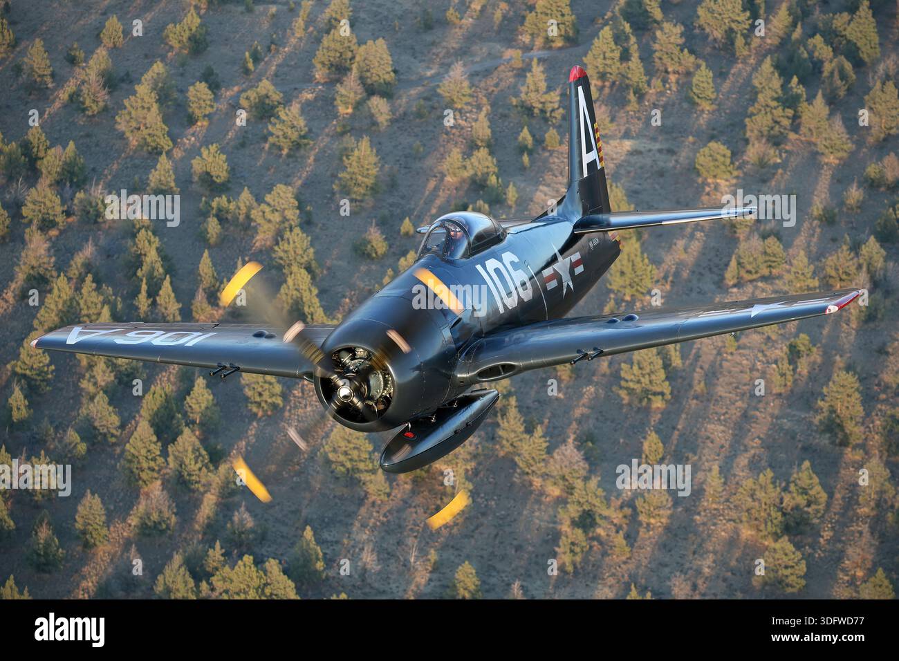 R 2800 double wasp hi-res stock photography and images - Alamy