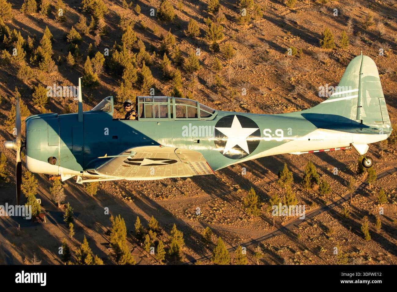 Dauntless cockpit hi-res stock photography and images - Alamy