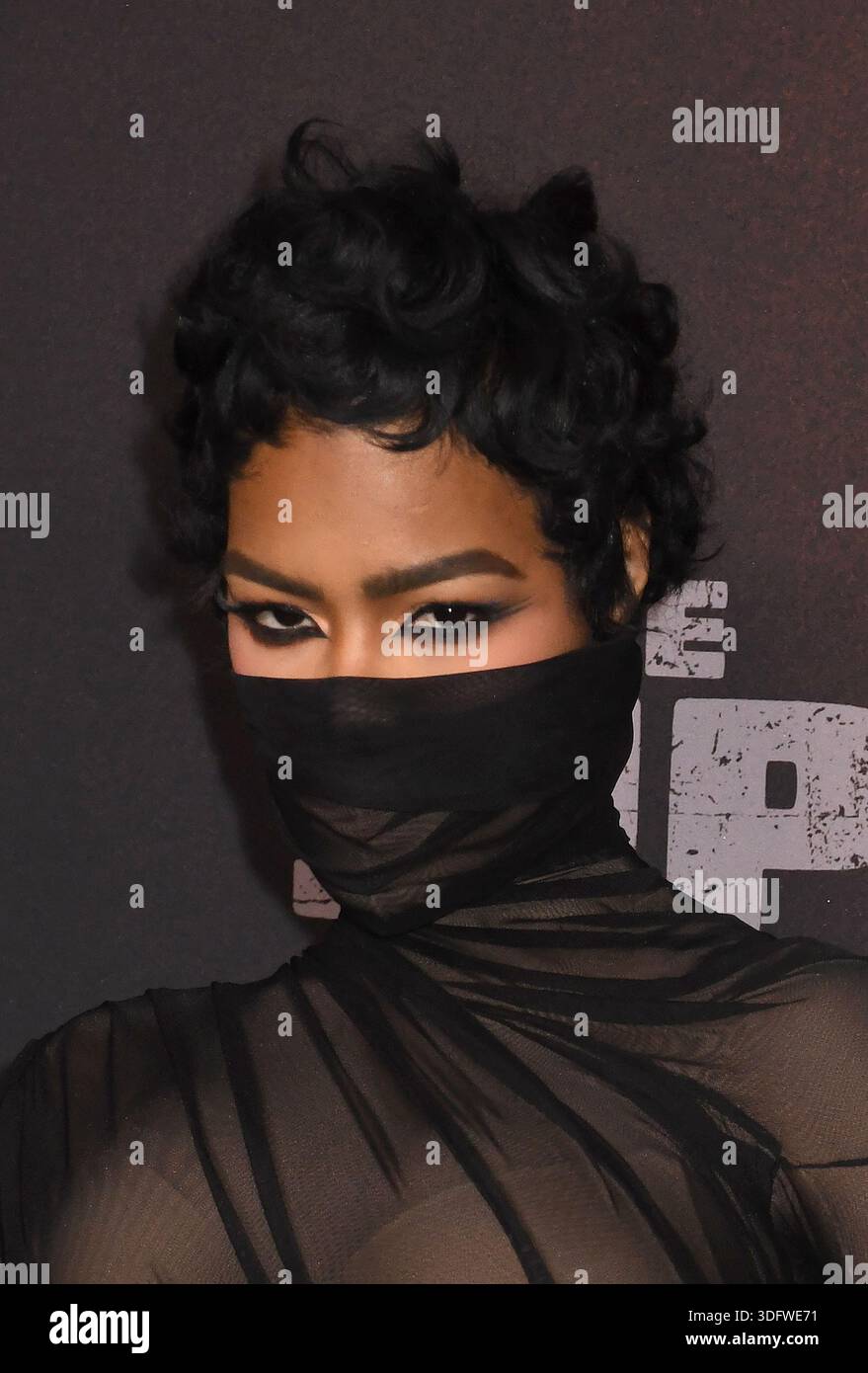 NEW YORK, NY - JANUARY 13: Teyana Taylor at the Netflix World premiere ...