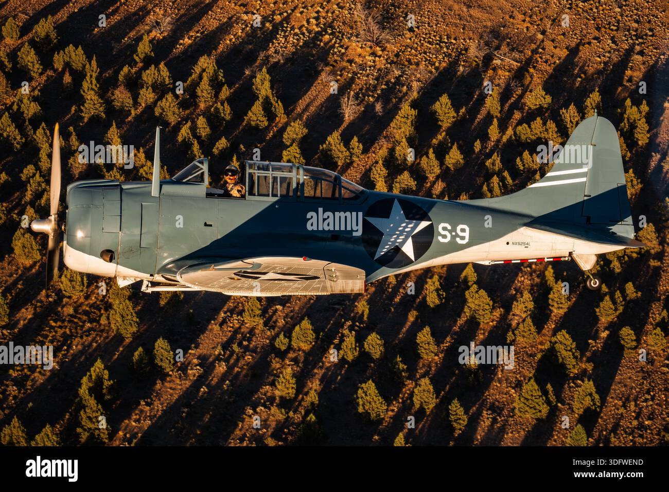 The Douglas SBD Dauntless NX5254L Serial No. 2350 is a restored ...