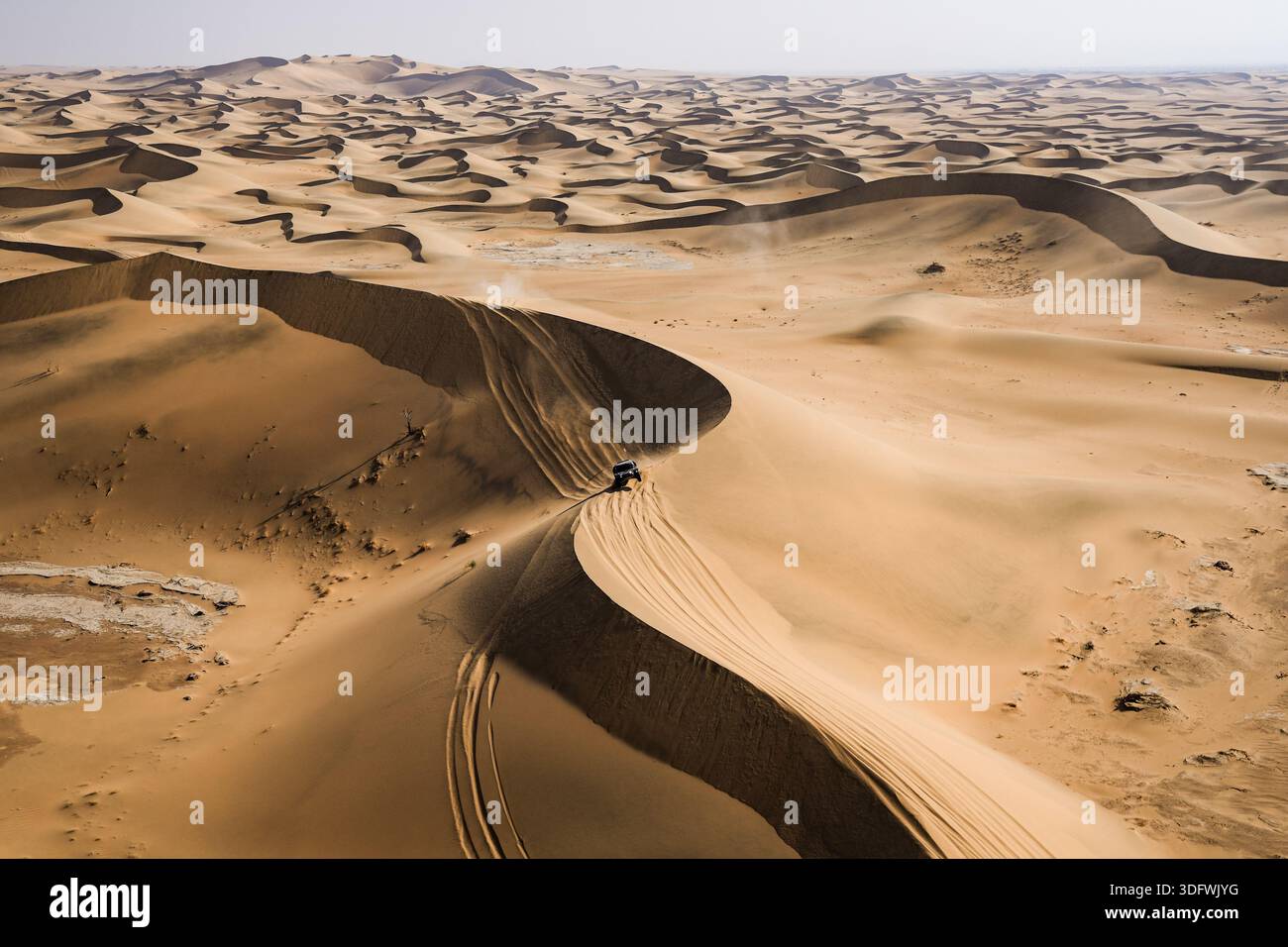 299 AL-ATTIYAH Nasser (qat), LURQUIN Fabian (bel), The Dacia Sandriders ...