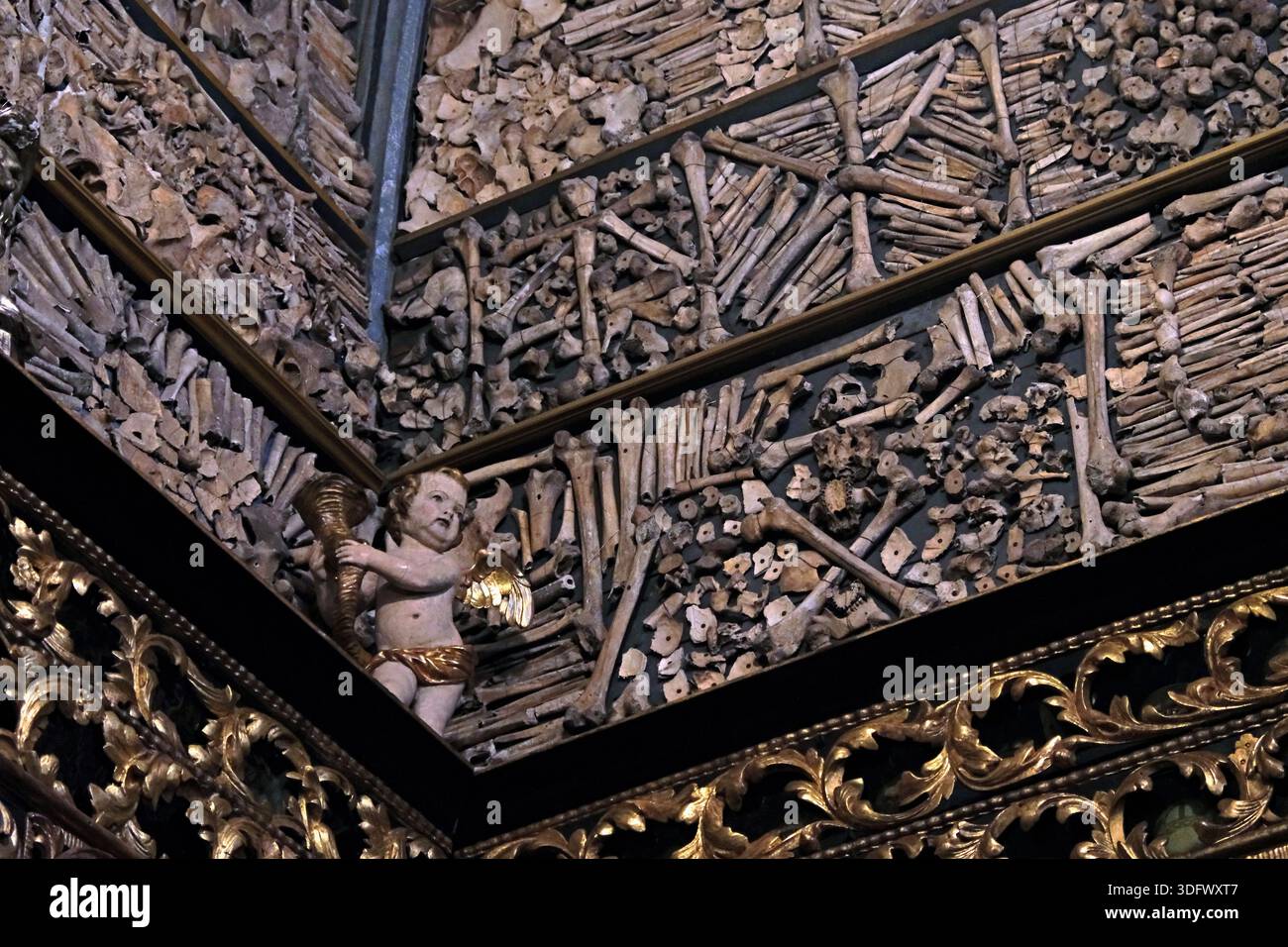 Patterns of bones on the wall of the Goldene Kammer (Golden Chamber) in ...