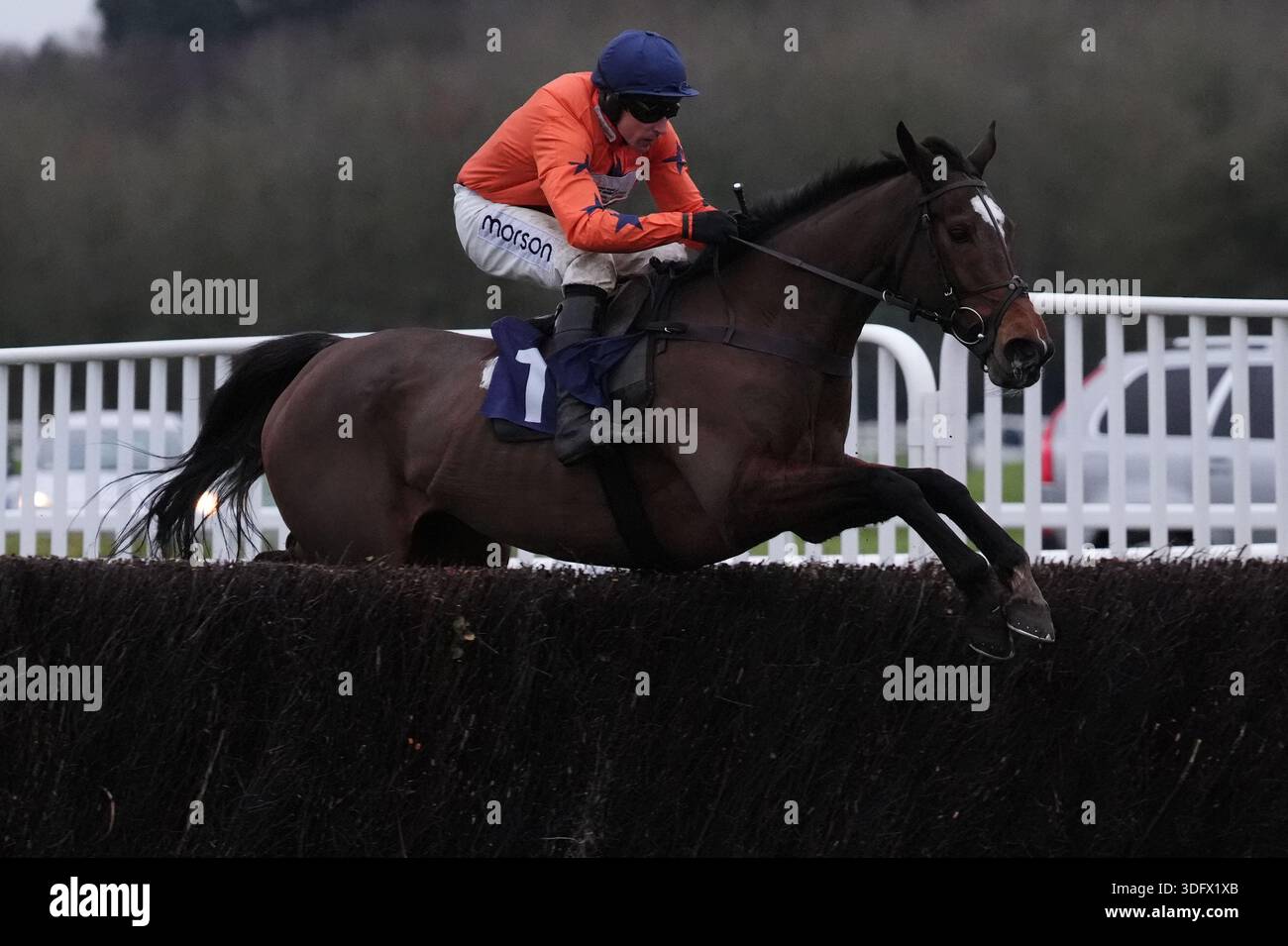 Panic Attack ridden by Harry Skelton on their way to winning the Alder ...