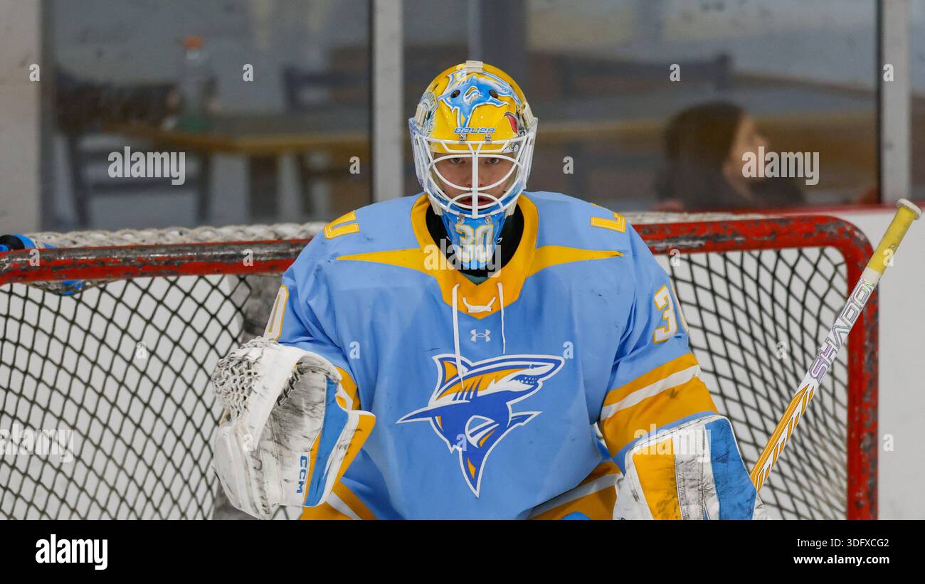 Long Island goalie Daniel Duris (30) in net during the first period of ...