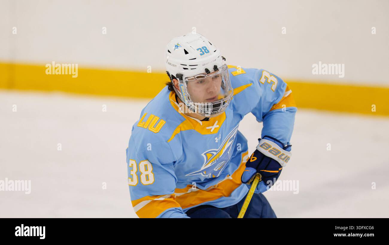Long Island forward J.R. Perdion (38) skates during the first period of ...