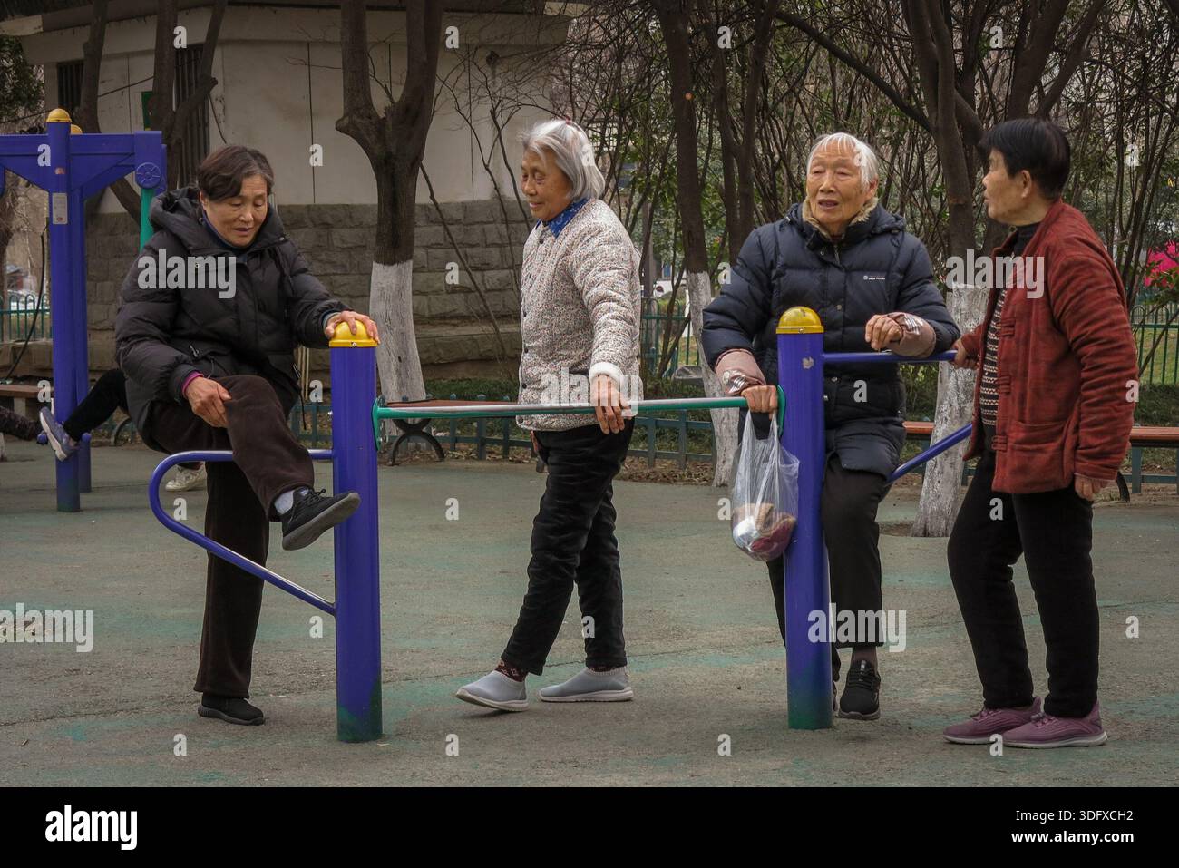 A group of elderly women use outdoor fitness facilities in Wenfeng Park ...