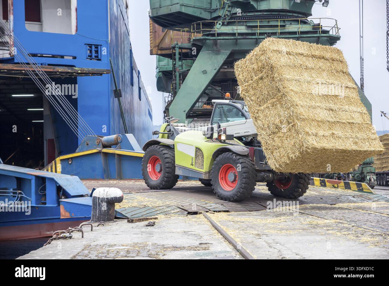 Telescopic handler loading bales in a ship. Day view. Work in port ...