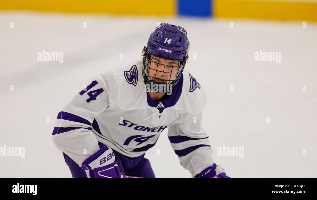 Stonehill forward Cole Melady (14) skates during the first period of an ...