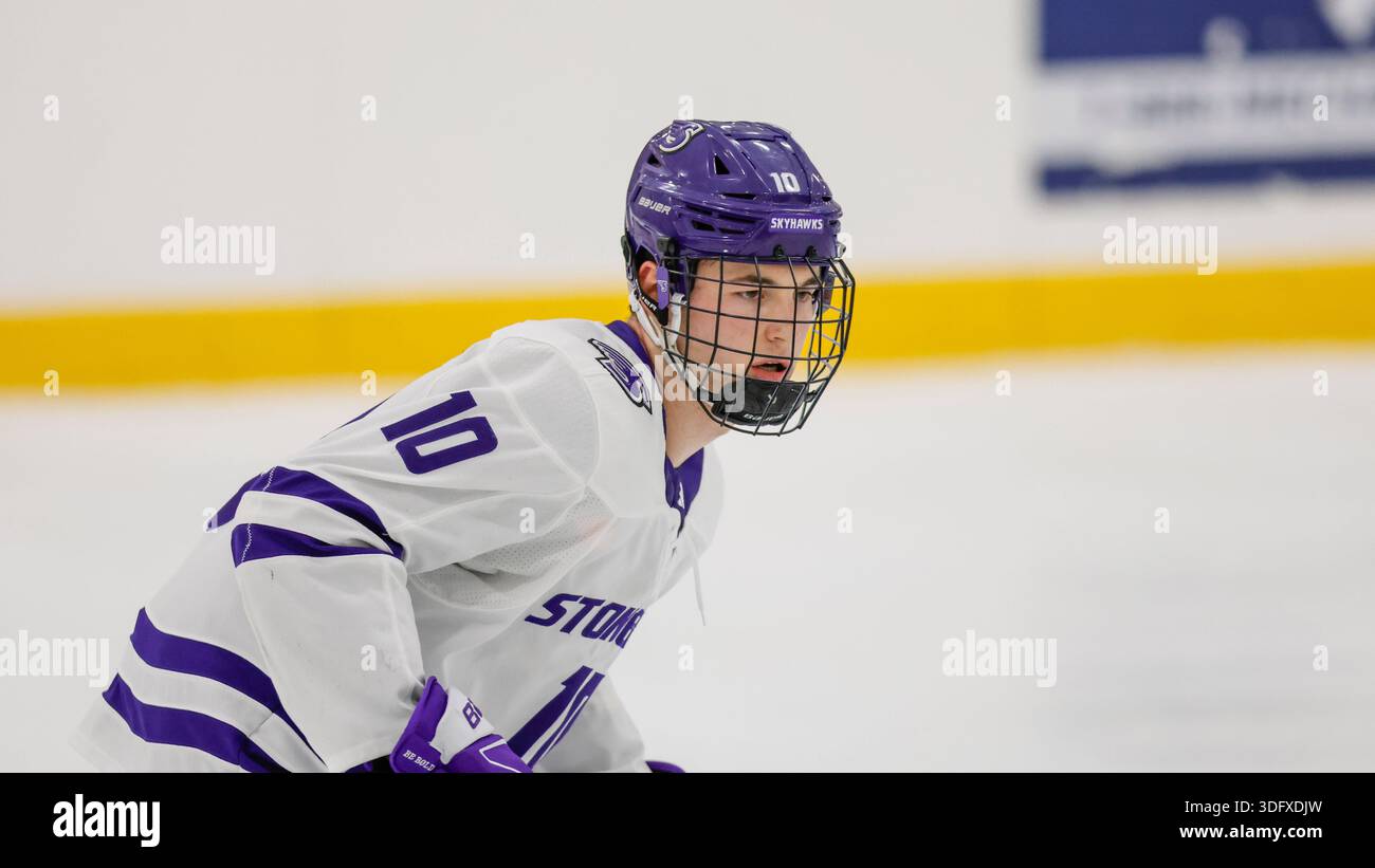 Stonehill forward JJ Grainda (10) skates during the first period of an ...
