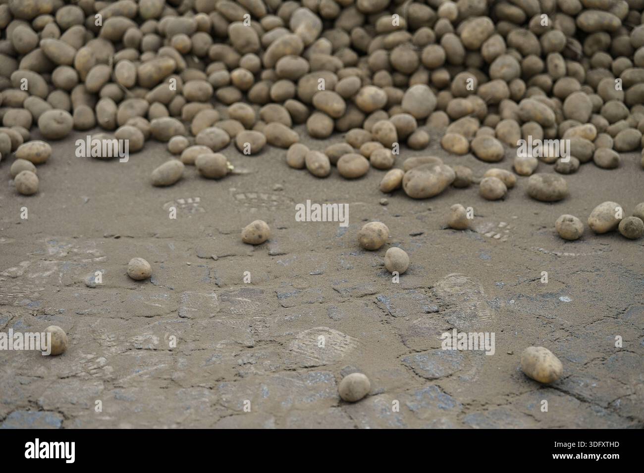 Hundreds of tractors belonging to the FNSEA, Young Farmers and the ...