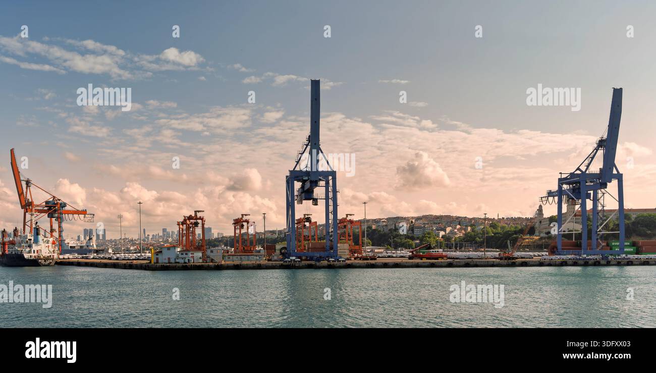 Istanbul, Turkey - June 13, 2025: Haydarpasa Port. Cargo ship Red Lion ...