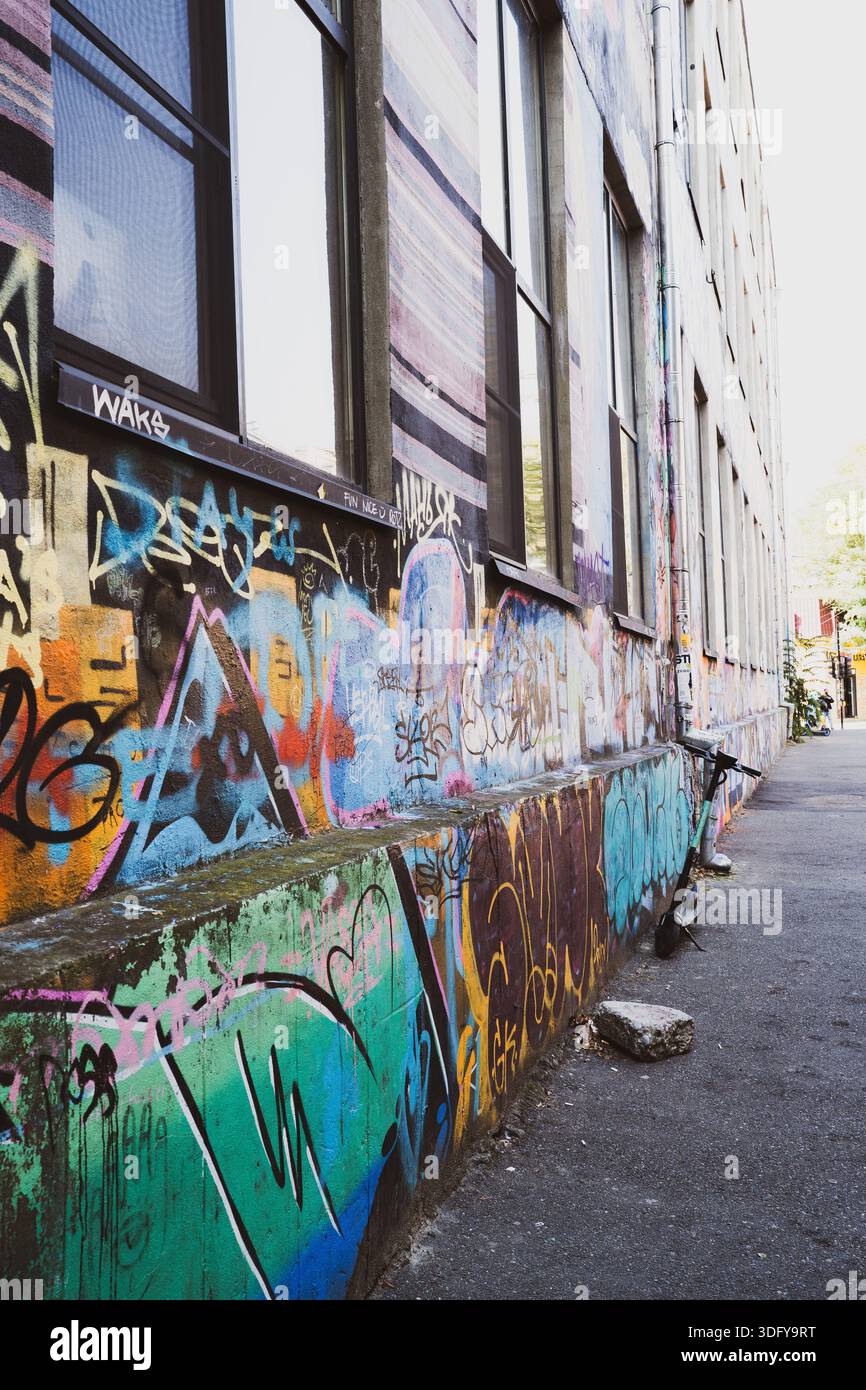 Colorful murals and graffiti in local neighborhoods showing the vibrant ...