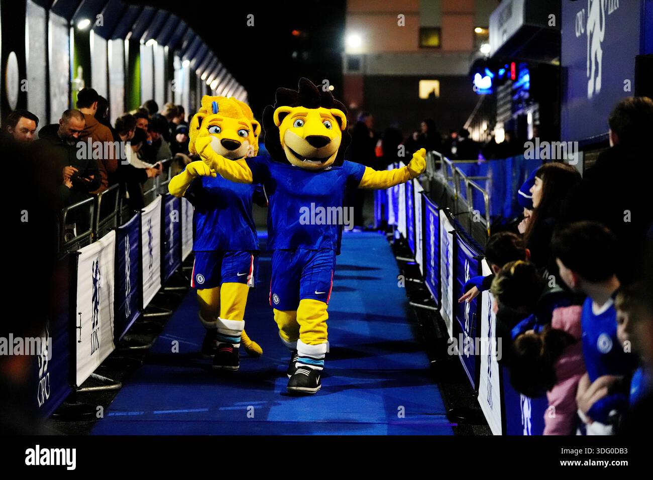 Chelsea mascots Stamford the Lion and Bridget the Lioness ahead of the ...