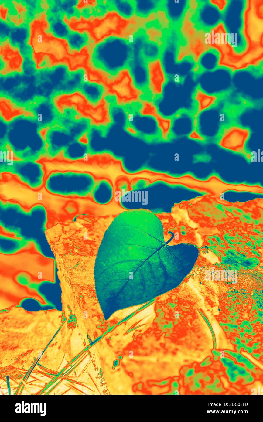 Heart Shaped Leaf on Rock with Abstract Gradient Map and Infrared ...