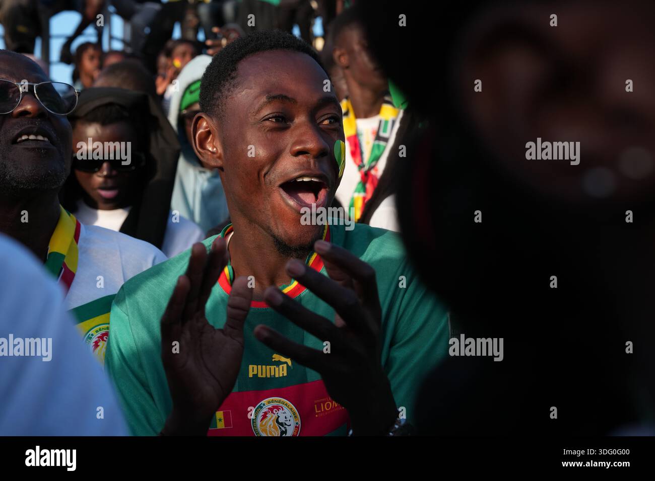 A fan reacts as he watches a live broadcast of the Africa Cup of ...