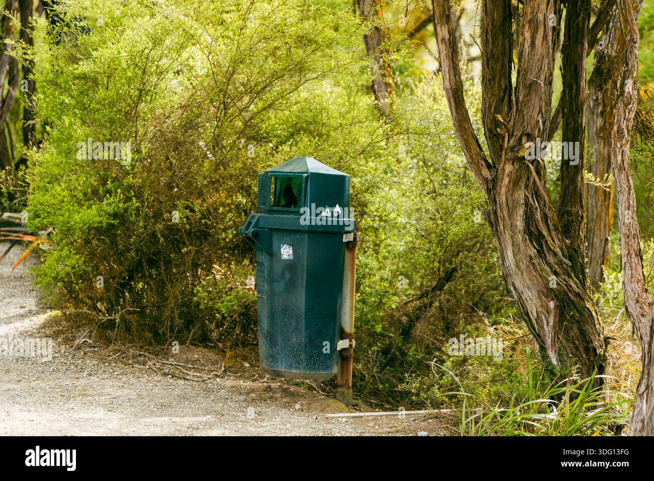 Green Outdoor Trash Bin Beside Forest Trees Stock Photo - Alamy