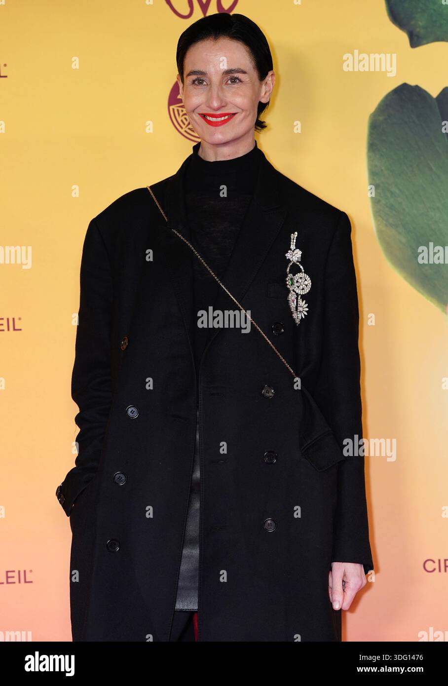 Erin O'Connor attending the premiere of Cirque du Soleil's OVO at the ...